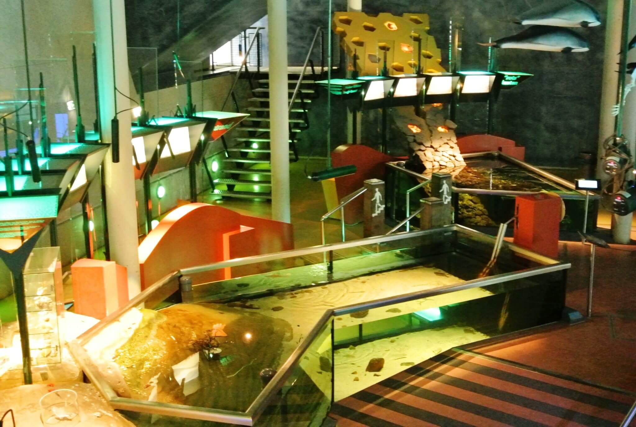 Ecomare-Museum – Texel - Empfehlungsportal - Reisen und Wellness